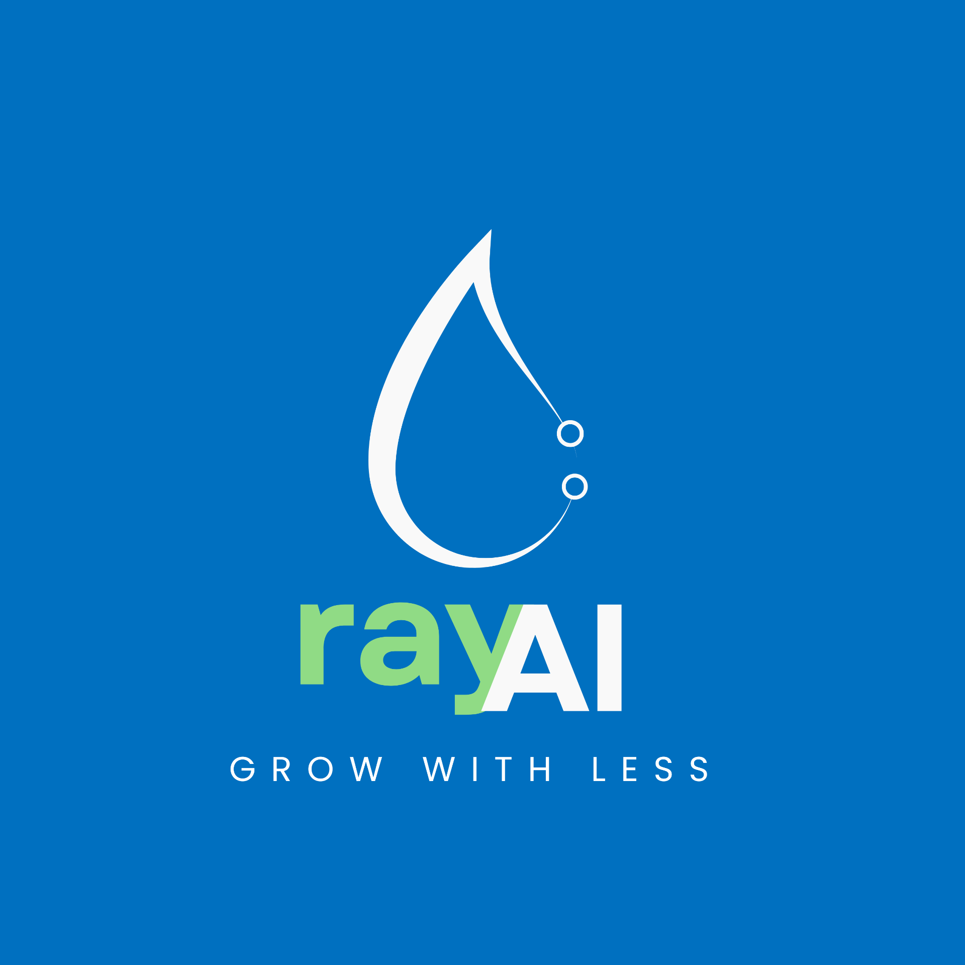 RayAI - Grow With Less